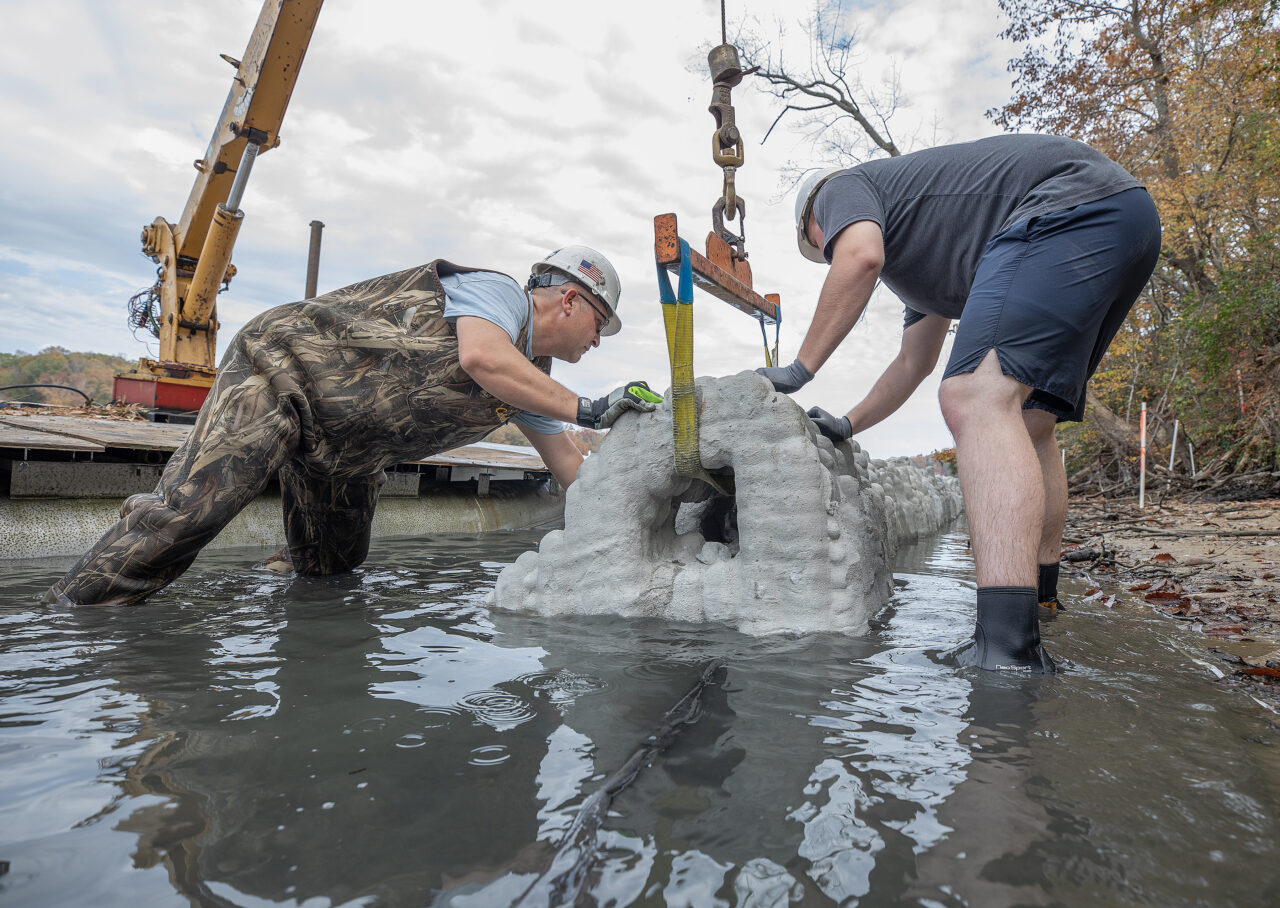 What Is a Living Shoreline? Natural Erosion Protection - Fight the Flood